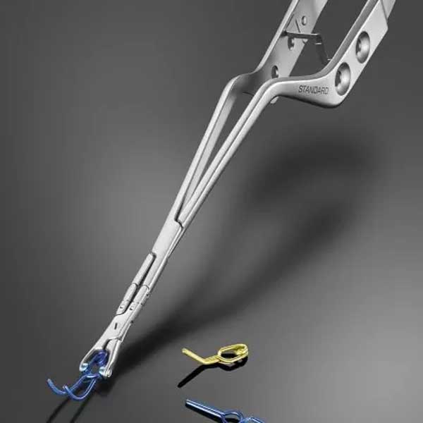 Rebstock – Baslan Ltd.